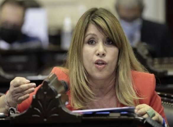 Litza sobre la interna del Frente de Todos: "Massa puede ser el ...
